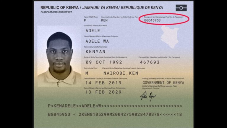 What Is a Government Issued Identification Number - How to Get One, and ...